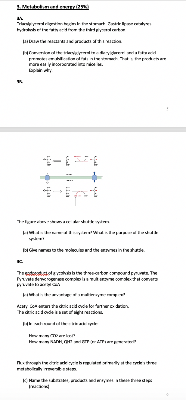 Solved 3A. Triacylglycerol digestion begins in the stomach. | Chegg.com