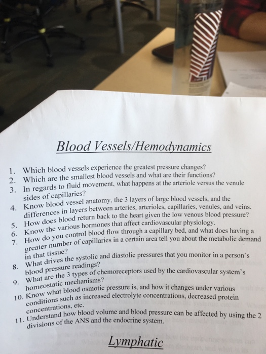 Solved Blood Vessels/Hemodynamics 1. 2. 3. Which blood | Chegg.com