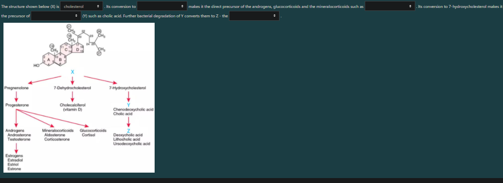 Solved . Its conversion to 7-hydroxycholesterol makes it The | Chegg.com