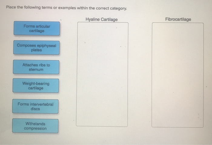 Solved Place the following terms or examples within the | Chegg.com