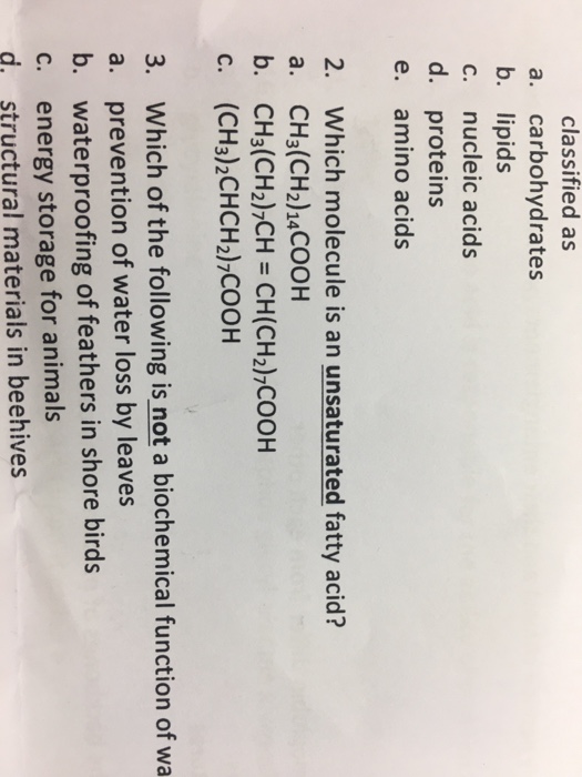 Solved Carbohydrates lipids nucleic acids proteins amino | Chegg.com