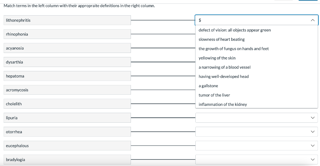 Solved antipyogenic 1 inflammation of the kidney xantoderma | Chegg.com
