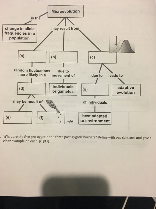 Solved Microevolution is the change in allele frequencies in | Chegg.com