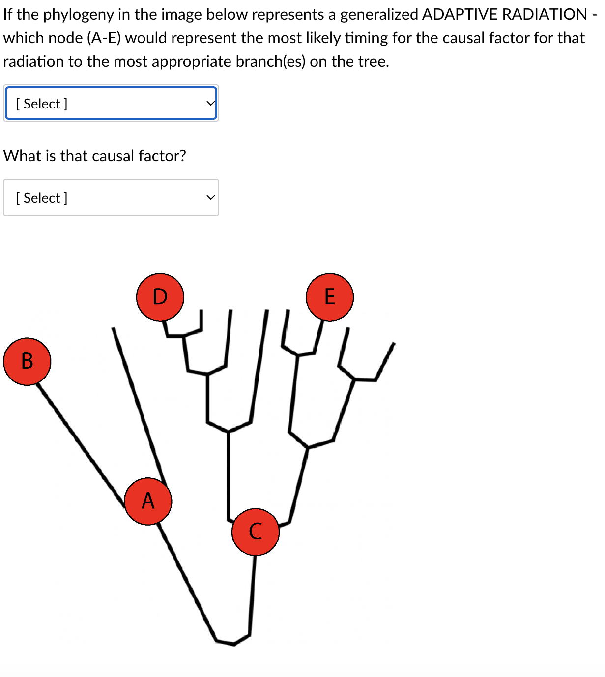 Solved If the phylogeny in the image below represents a | Chegg.com