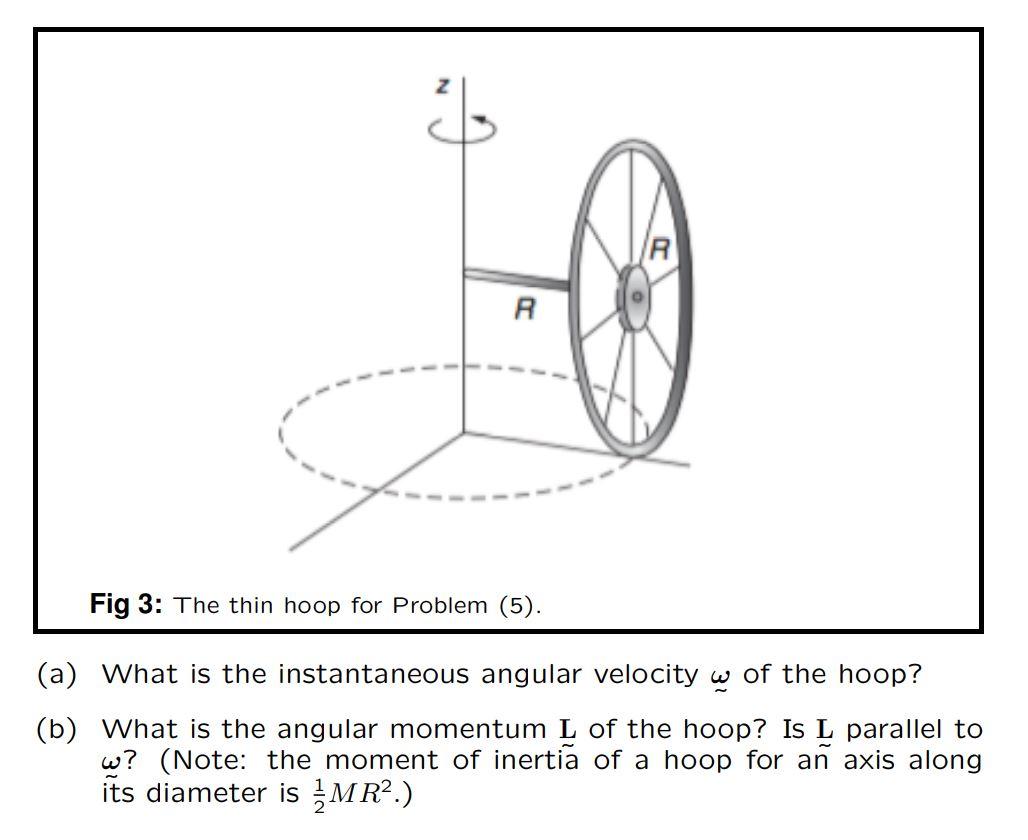 Solved (4 marks) A thin hoop of mass M and radius R rolls | Chegg.com