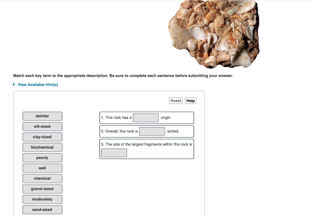 Solved Match each key term to the appropriate description. | Chegg.com
