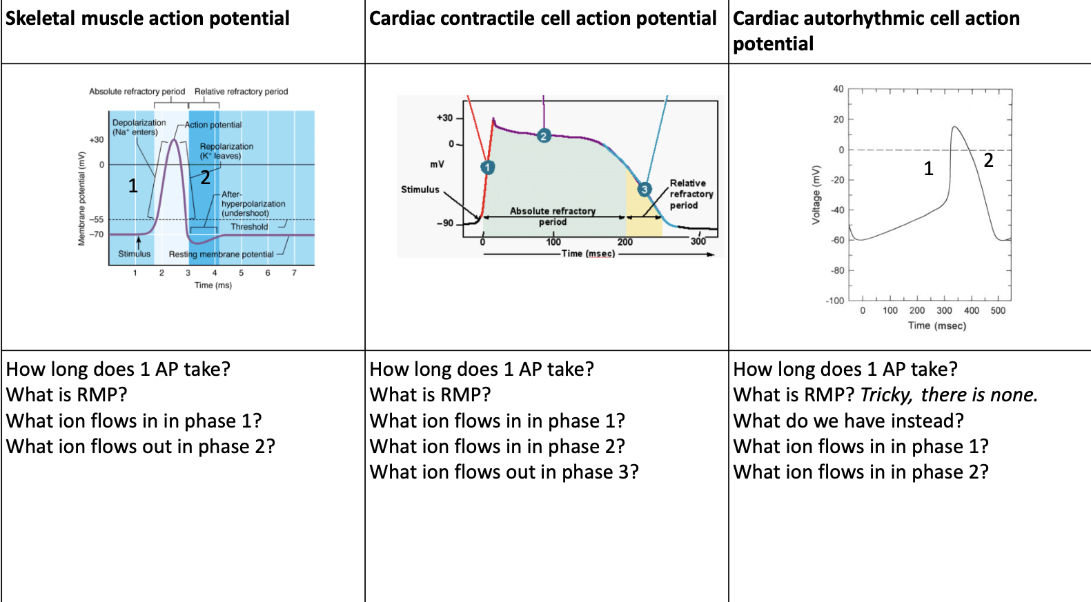Solved Skeletal muscle action potential Cardiac contractile | Chegg.com