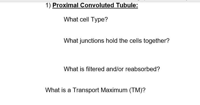 Solved 1) Proximal Convoluted Tubule: What cell Type? What | Chegg.com