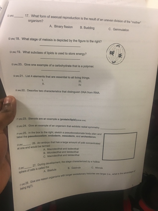 Solved 2 pt) 17. What form of asexual reproduction is the | Chegg.com