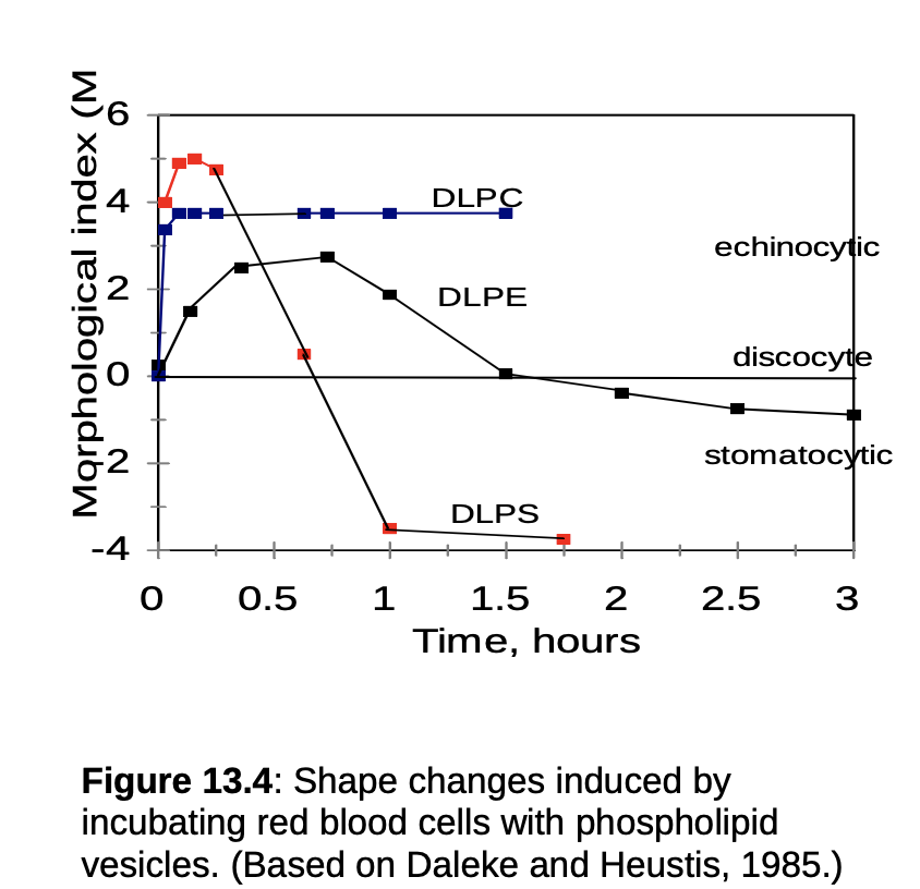 Please Answer Questions 1-6. Case 13- A “Flippase” | Chegg.com