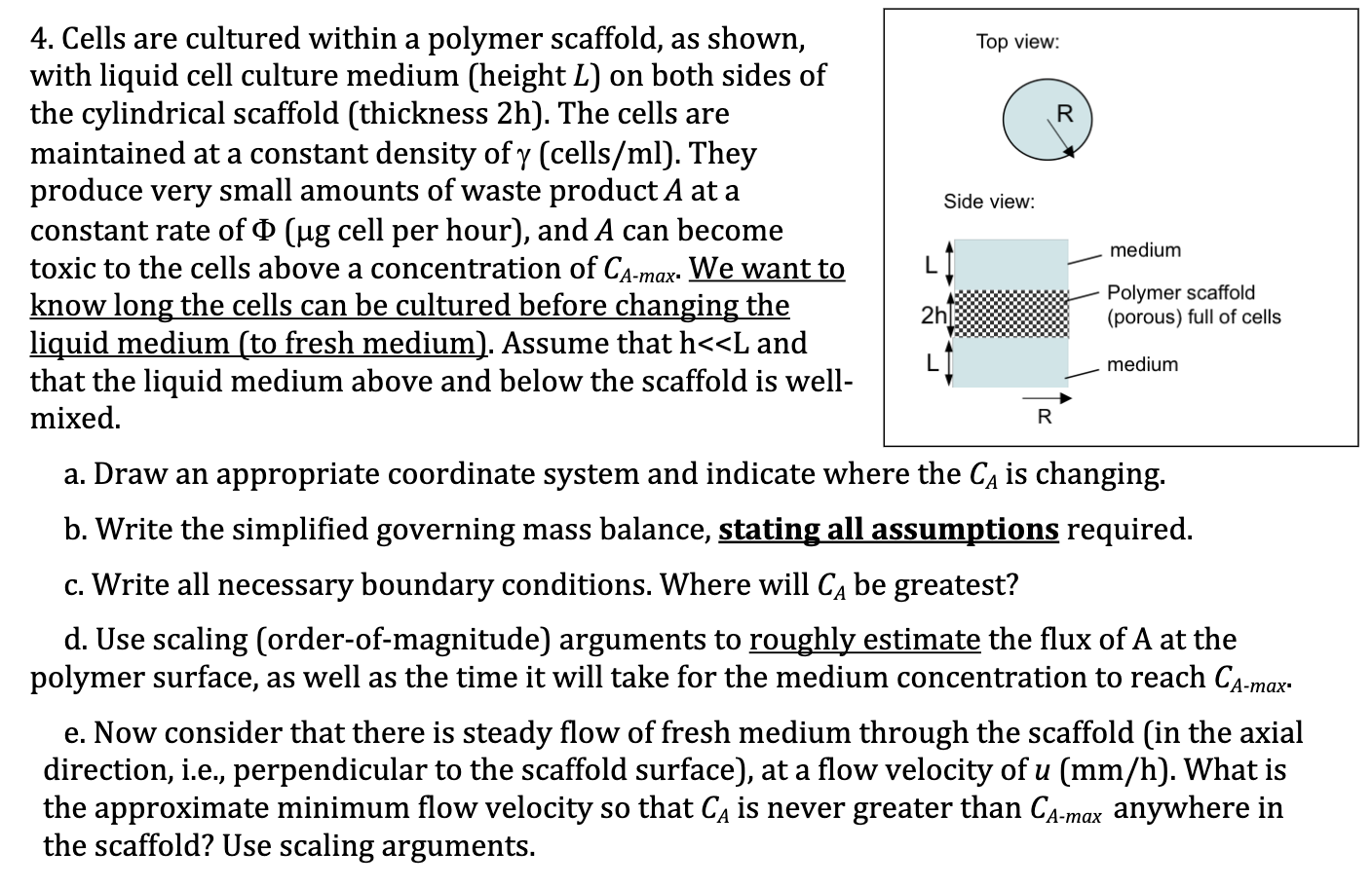 Top view: R Side view: medium 2h Polymer scaffold | Chegg.com