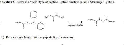 Solved Question 5: Below is a "new" type of peptide ligation | Chegg.com
