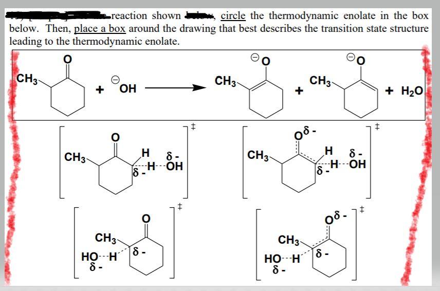 Solved reaction shown , circle the thermodynamic enolate in | Chegg.com