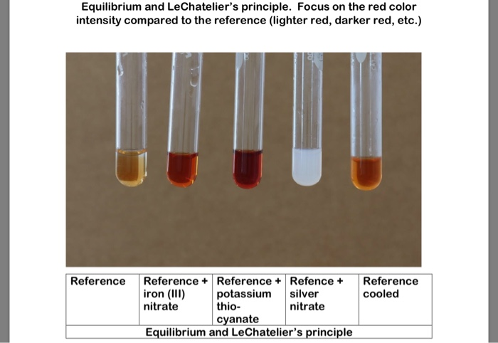 Solved Equilibrium and LeChatelier's principle. Focus on the | Chegg.com