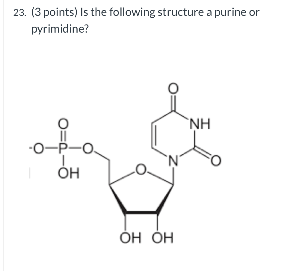 Solved 23. (3 points) Is the following structure a purine or | Chegg.com