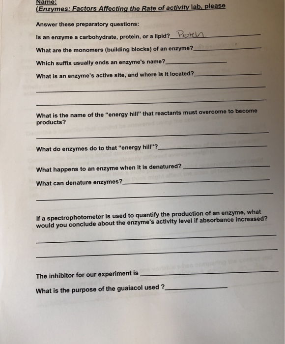 Solved Name: Enzymes: Factors Affecting the Rate of activity | Chegg.com