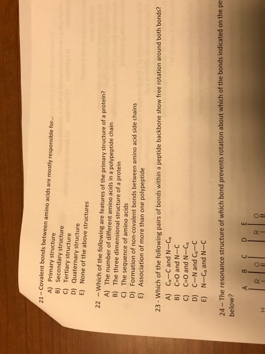 Solved Amino Acids, Proteins and Enzymes-multiple choice | Chegg.com