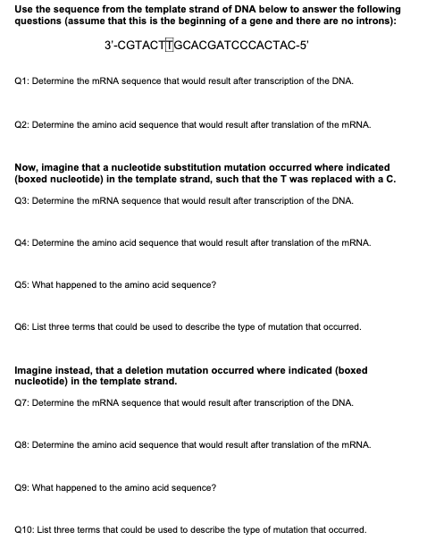 Solved Use the sequence from the template strand of DNA | Chegg.com