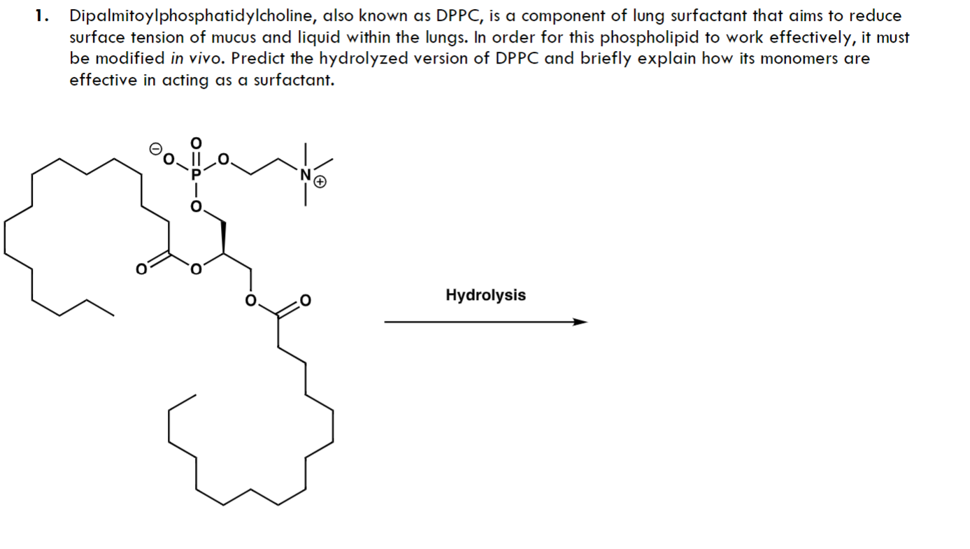 Solved 1. Dipalmitoylphosphatidylcholine, also known as | Chegg.com