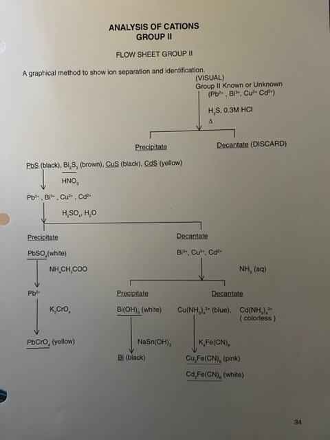 Solved Use the page to complete the cation report sheet for | Chegg.com