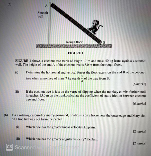 Solved FIGURE 1 shows a coconut tree trunk of length 17 m | Chegg.com