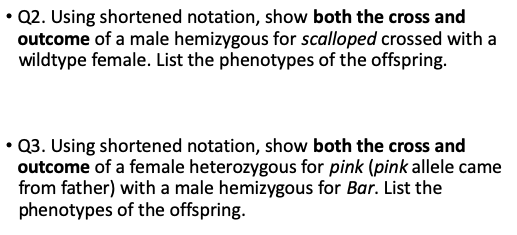 Solved 2 e 3 р 3 Table of genes, symbols, and locations Gene | Chegg.com