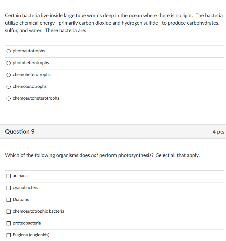 Solved Certain bacteria live inside large tube worms deep in | Chegg.com