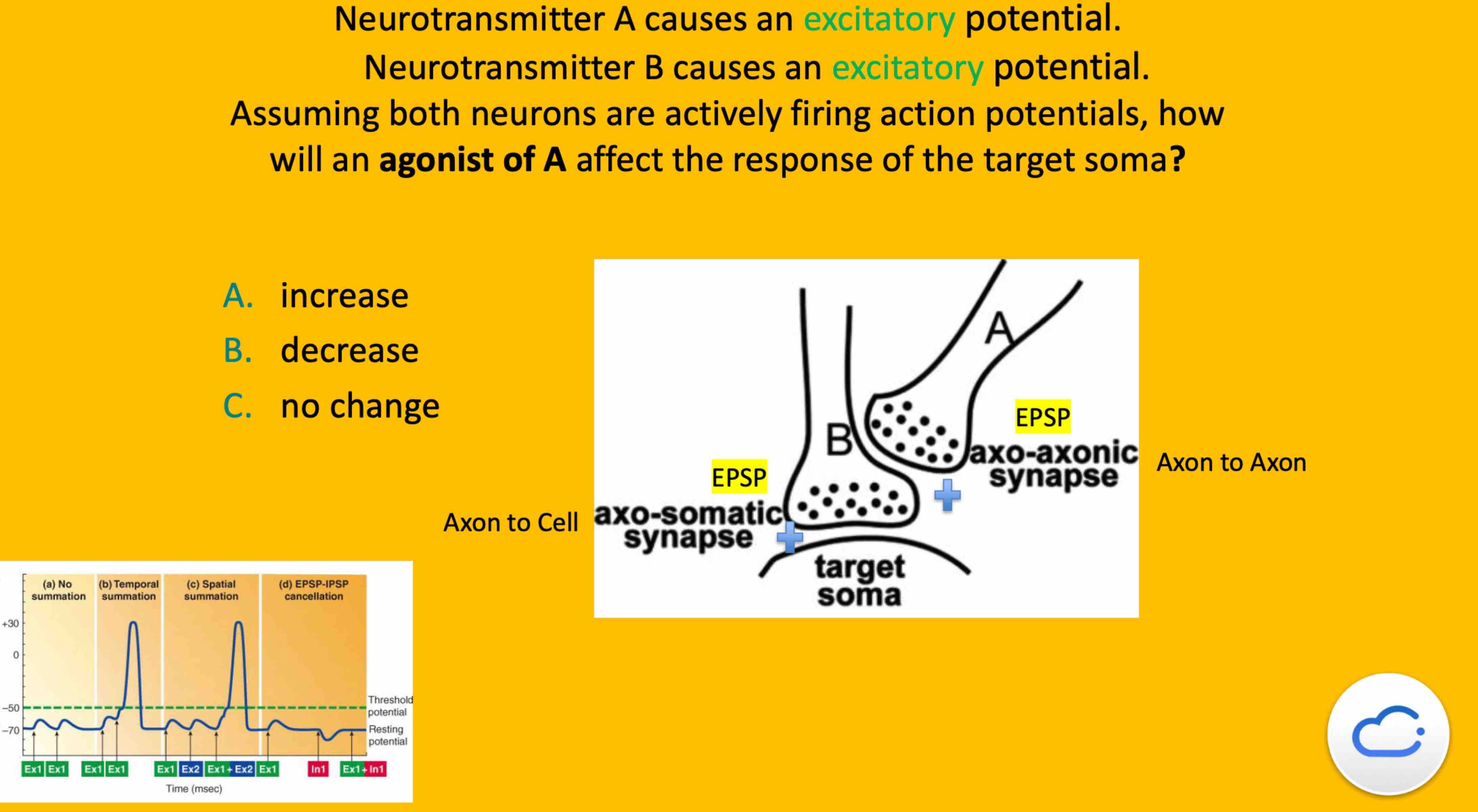 Solved Neurotransmitter A causes an excitatory | Chegg.com