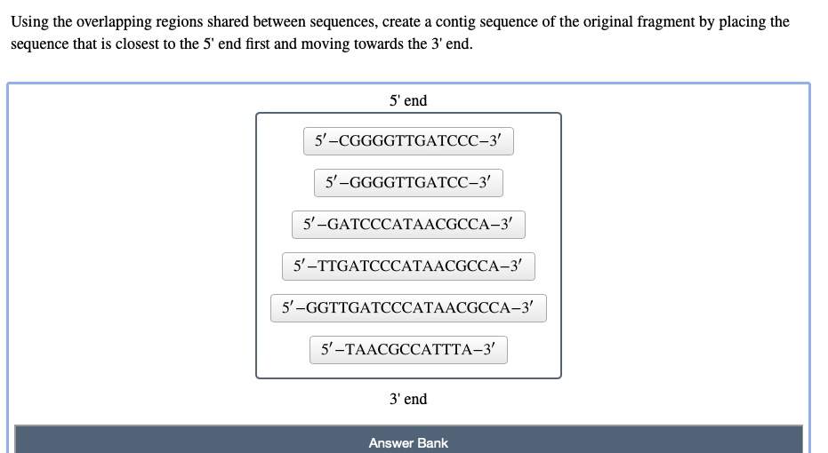 Solved A linear piece of DNA was | Chegg.com
