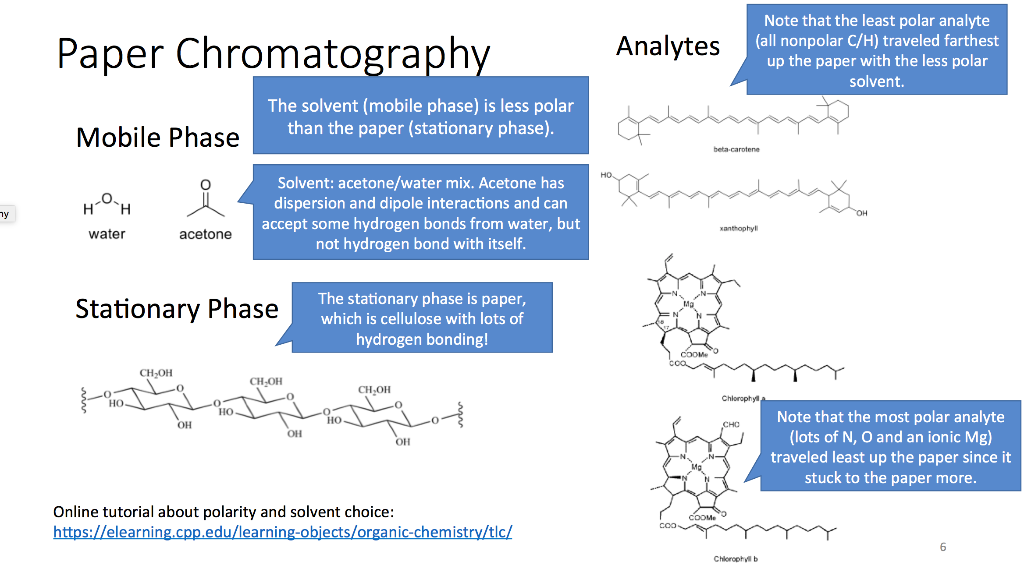 Solved What Are The Rf Values For Each Of The Spots On The