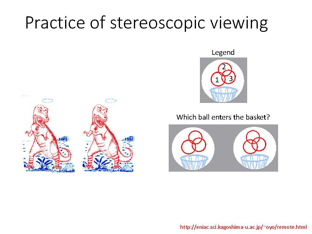Solved Practice of stereoscopic viewing Legend WWW Which | Chegg.com