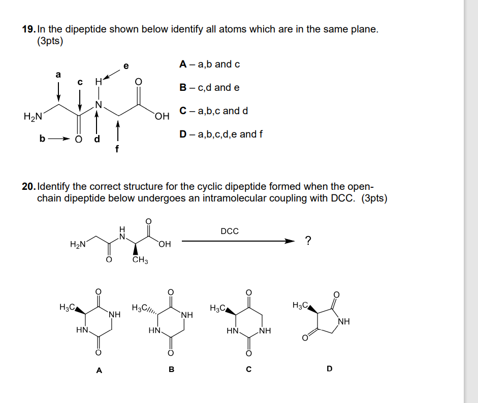 Solved 19. In the dipeptide shown below identify all atoms | Chegg.com