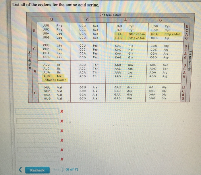 Solved List all of the codons for the amino acid serine. 2nd | Chegg.com