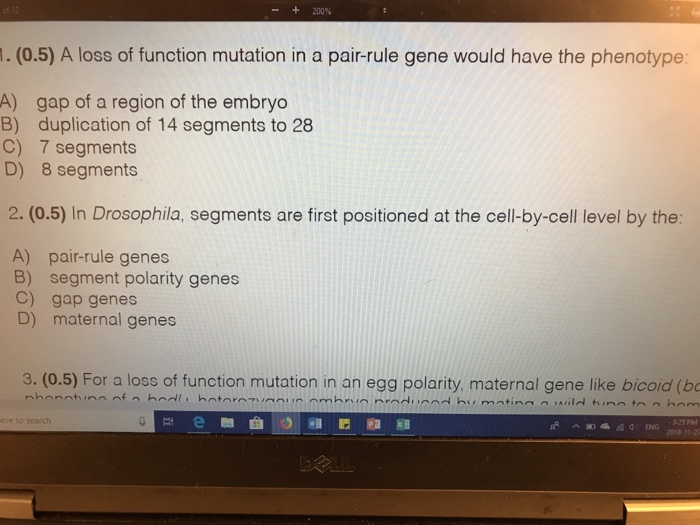 Solved - + 200% (0.5) A loss of function mutation in a | Chegg.com