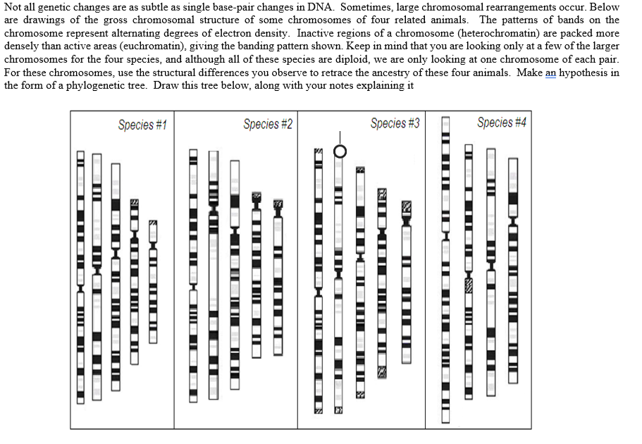 Solved Not all genetic changes are as subtle as single | Chegg.com