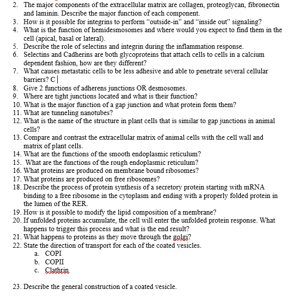 Solved 2. The major components of the extracellular matrix | Chegg.com