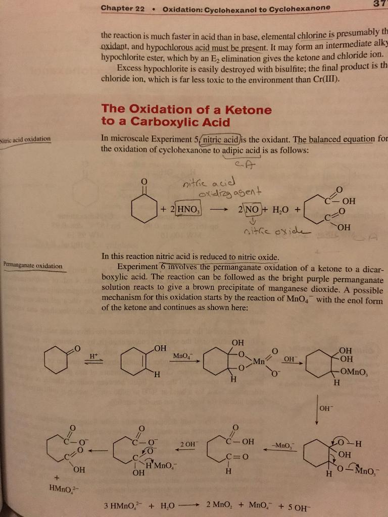 CHAPTER 22 Oxidation: Cyclohexanol to Cyclohexanone; | Chegg.com