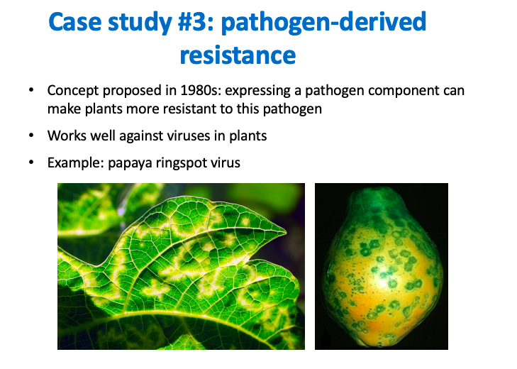 Explain the concept of “pathogen-derived resistance” | Chegg.com