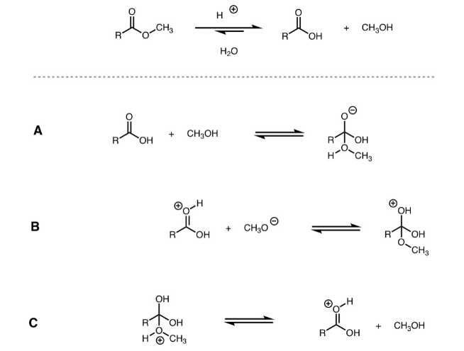 Solved H2O ...... hoe hoor our a poco no . Le shoo za to Oo | Chegg.com