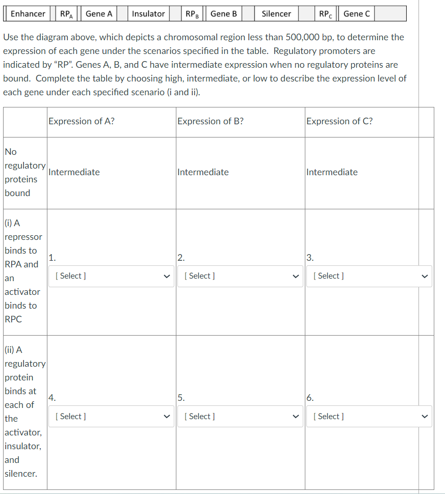 Solved Use the diagram above, which depicts a chromosomal | Chegg.com