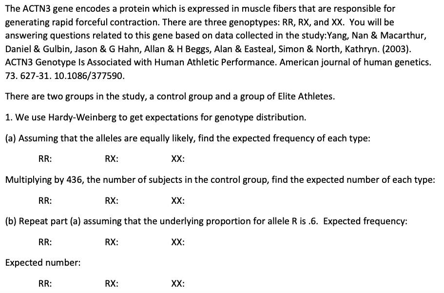 The ACTN3 gene encodes a protein which is expressed | Chegg.com