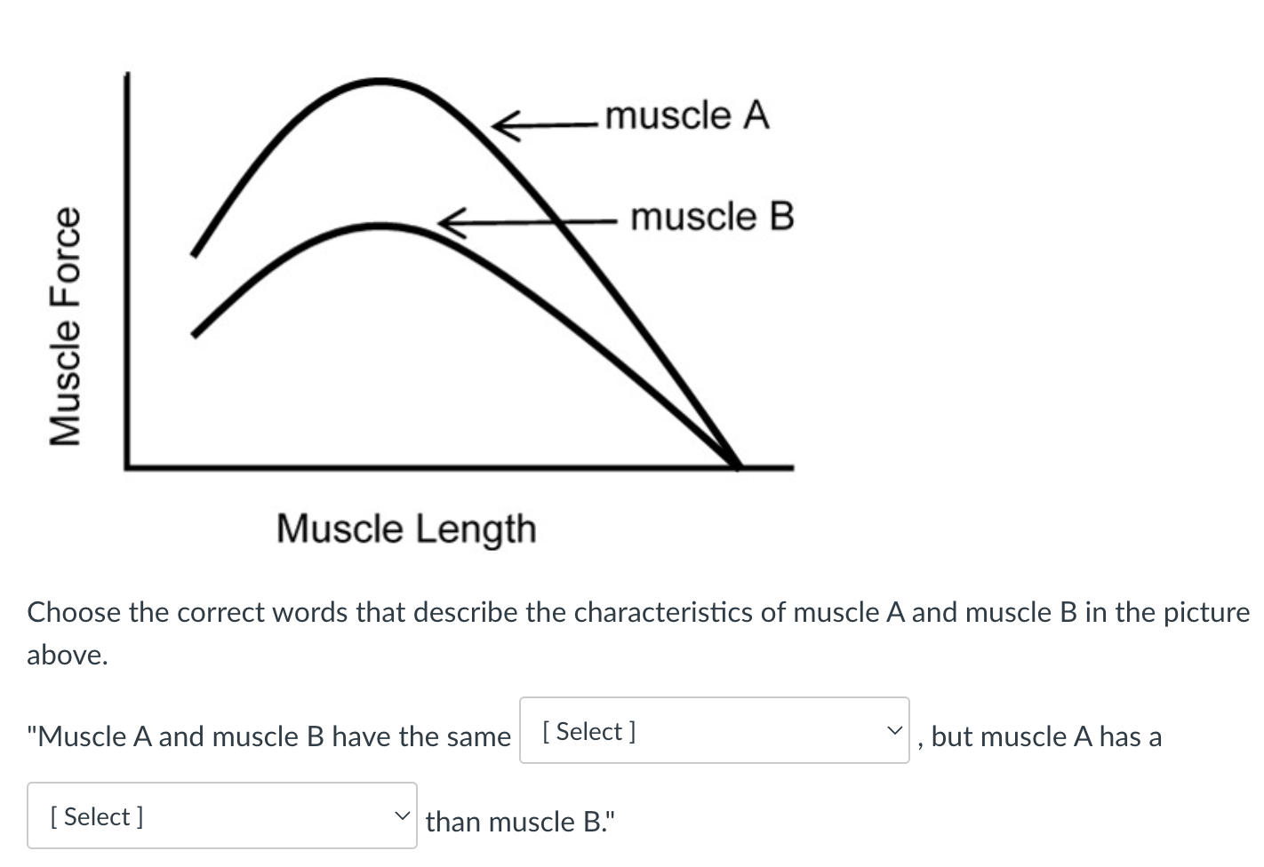 Solved Choose the correct words that describe the | Chegg.com