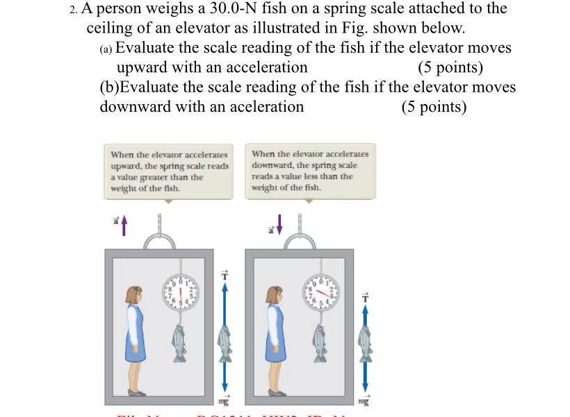 Solved 2. A person weighs a 30.0-N fish on a spring scale | Chegg.com