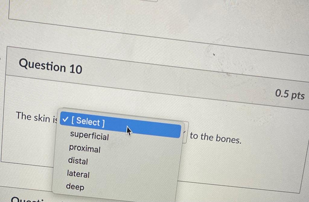 Solved Question 10 The skin is [ Select ] superficial | Chegg.com