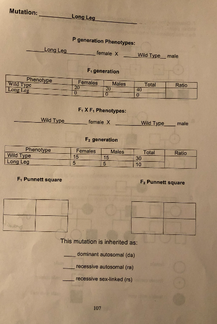 Solved Mutation: LongLeg P generation Phenotypes: - Long Leg | Chegg.com