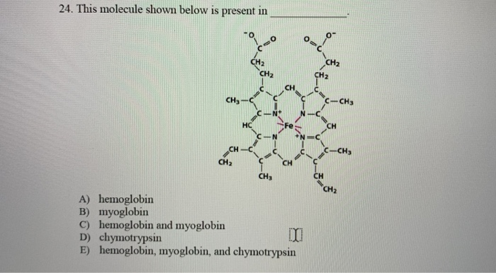Solved 24. This molecule shown below is present in H2 CH2 | Chegg.com