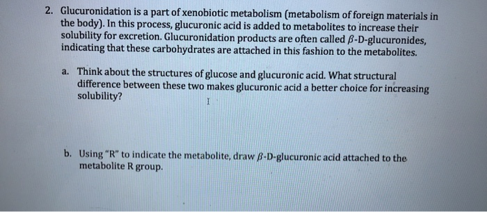 Solved Glucuronidation is a part of xenobiotic metabolism | Chegg.com