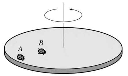 Solved Two ladybugs are standing on a rotating disk that | Chegg.com