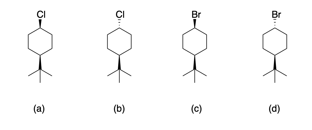 Solved Which will react the fastest through E2 mechanism | Chegg.com