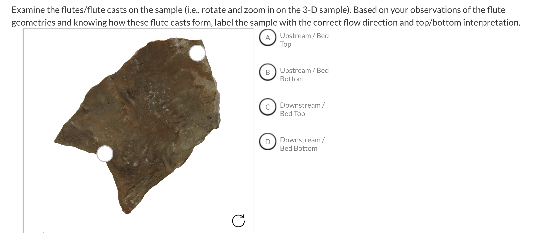 Solved Examine the flutes/flute casts on the sample (i.e., | Chegg.com